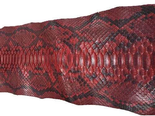 Rare Leather: What Are The Most Rare Leathers - Leathercrafttoolbox